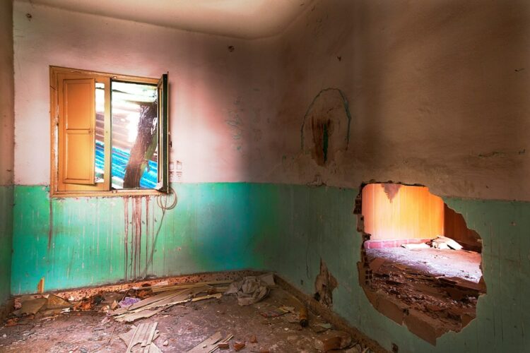 Hidden Defects - Viisi Expats